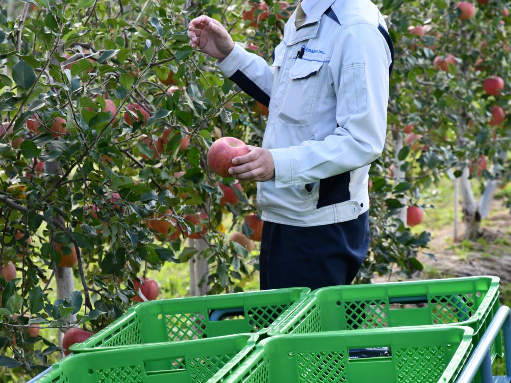 追従運搬車「Folloone（フォローン）」 | 株式会社城南製作所公式ホームページ